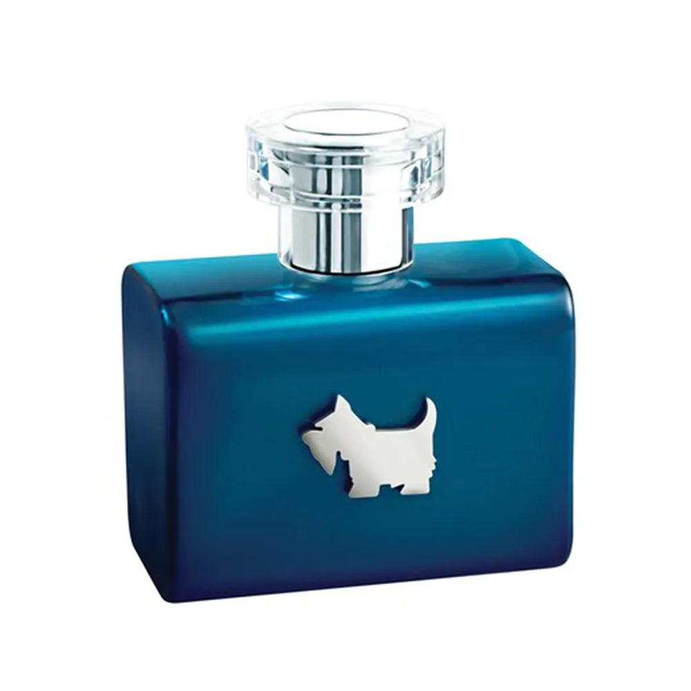 FERRIONI BLUE TERRIER FOR HIM EDT 100ML – Perfumeria La Quinta