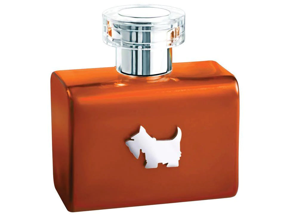 FERRIONI ORANGE TERRIER FOR HIM EDT 100ML – Perfumeria La Quinta